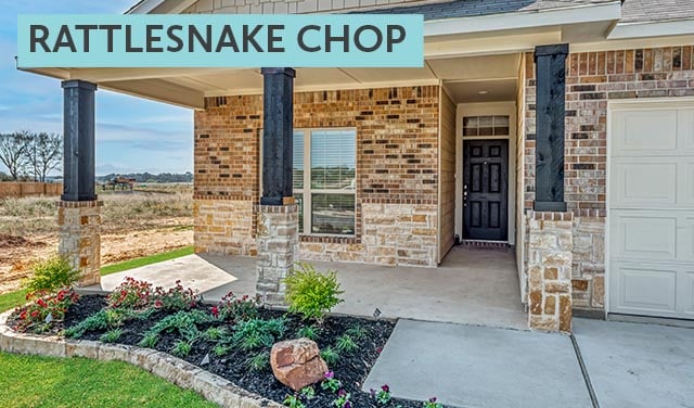 New Home Exterior Colors: Stone